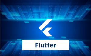 flutter | ID-Networkers (IDN.ID)